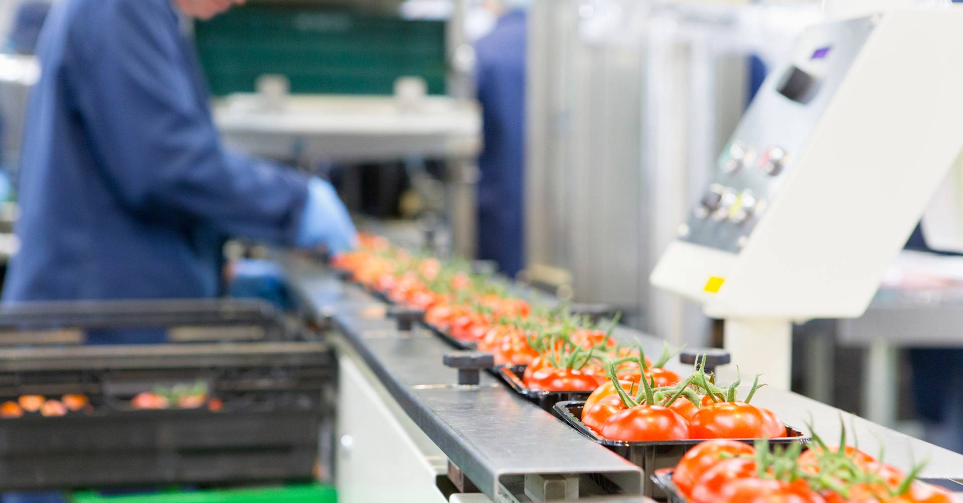 Navigating the World of Food Manufacturing: An Insightful Guide ...